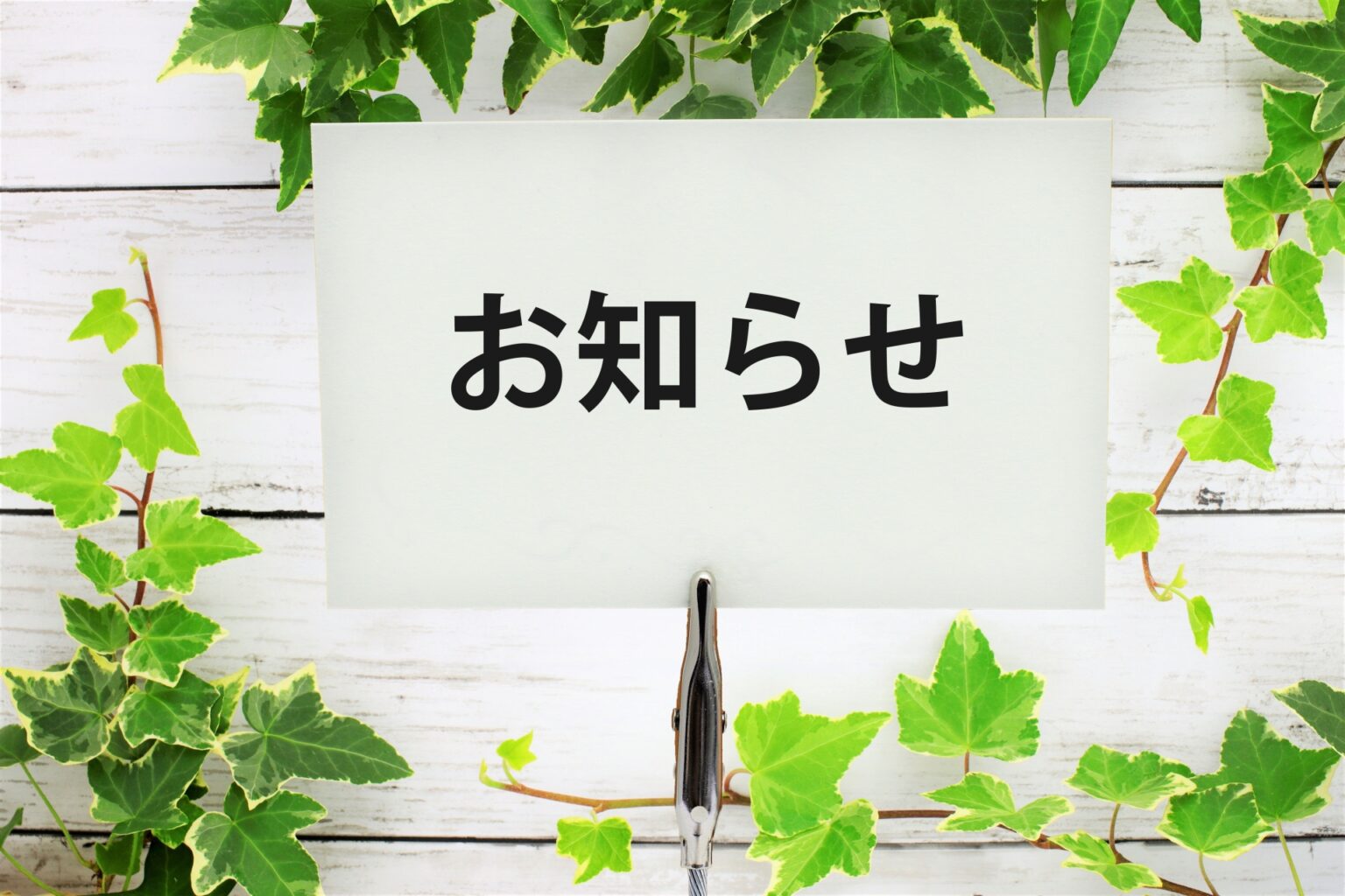 日本コンピュータシステム（NCS）と Novalys、日本の PowerBuilder コミュニティ支援のためコンテンツ連携を発表 | PowerBuilder Japan Portal