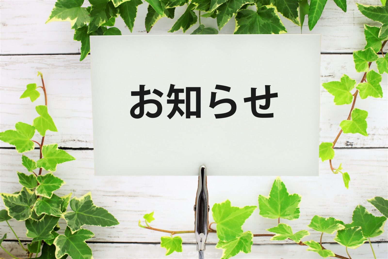 日本コンピュータシステム（NCS）と Novalys、日本の PowerBuilder コミュニティ支援のためコンテンツ連携を発表 | PowerBuilder Japan Portal